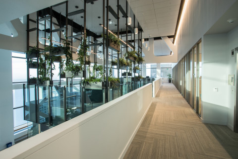 Company Profile | CommonWealth Partners